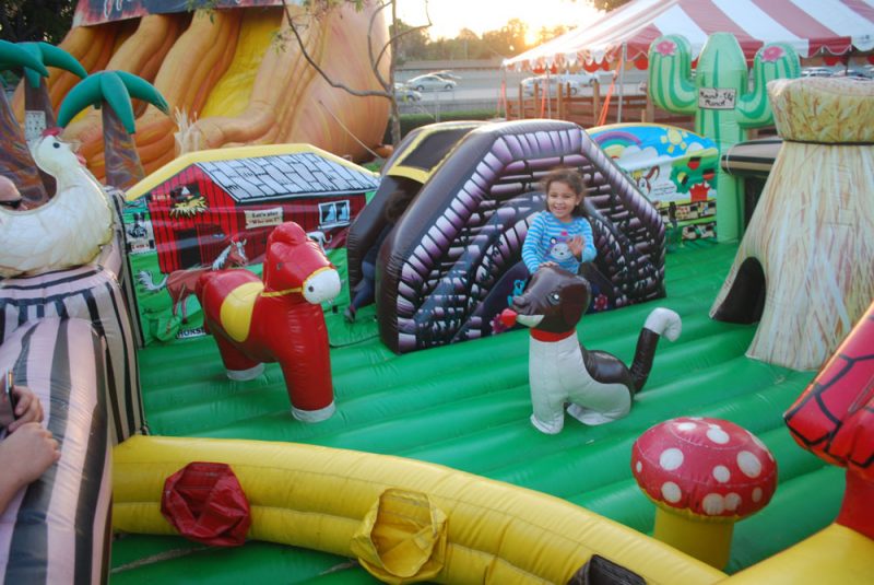 Gallery - The Pumpkin Factory