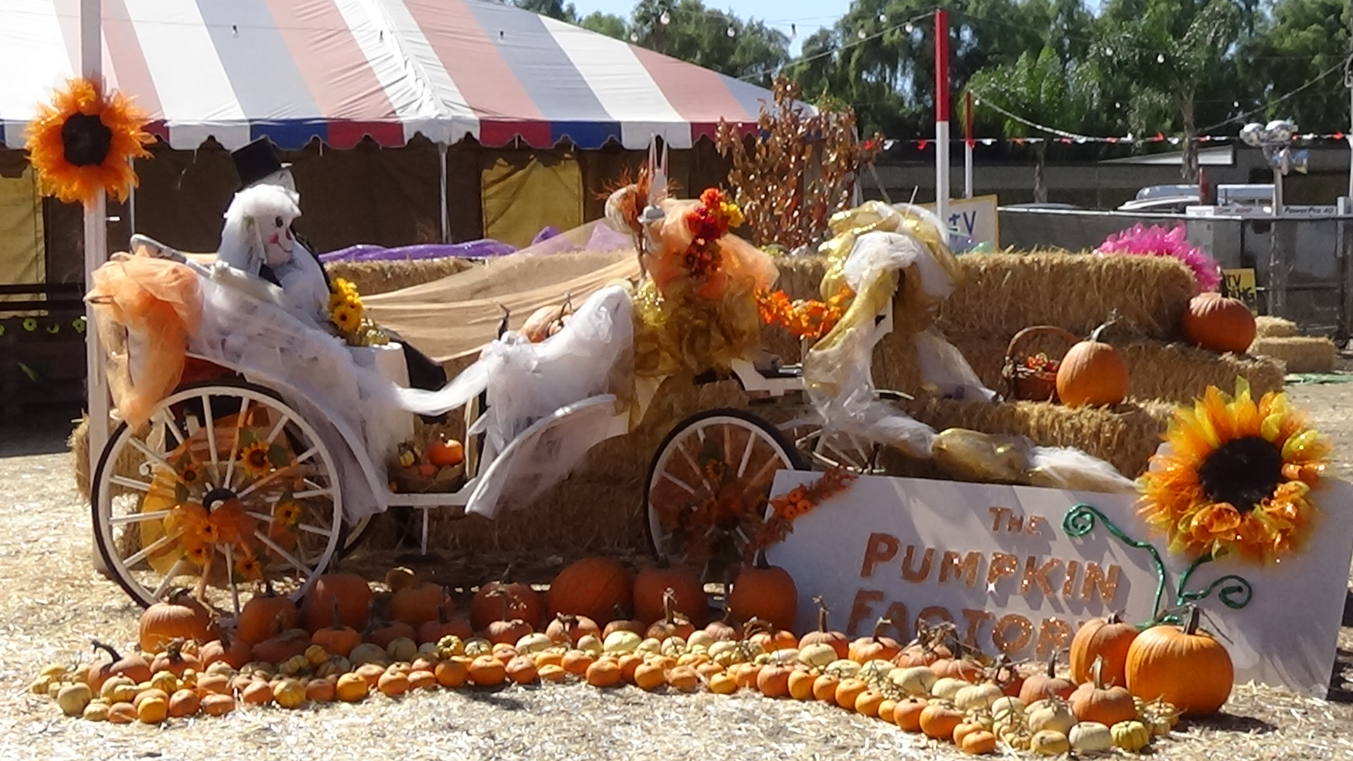 Corona - The Pumpkin Factory