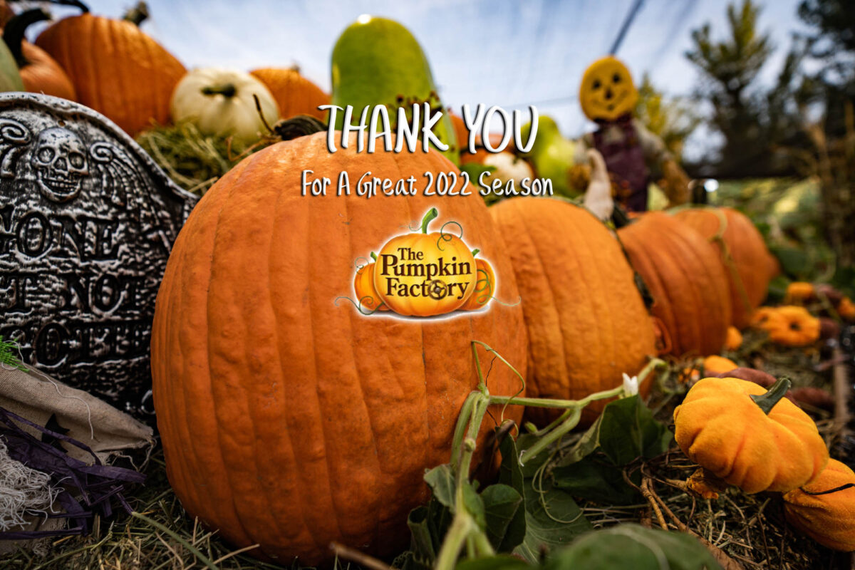The Pumpkin Factory Corona, CA Is Open October 1st – 31st - The Pumpkin ...